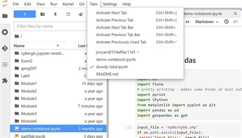 introduction to the jupyterlab interface cybergisx