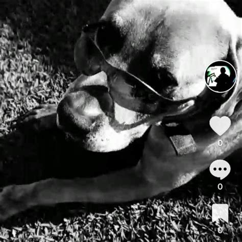 Stream Sex Rat By Jetfuelwav By Jetfuel Listen Online For Free On