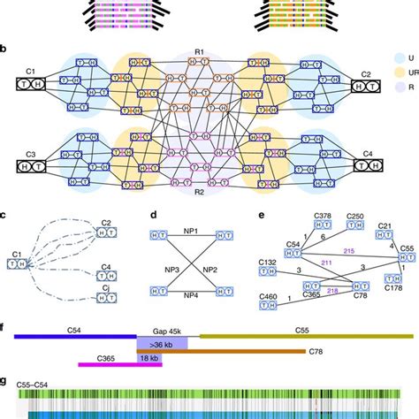 Comparison Of Maize B73 Hera Assembly And Refgen V4 A The Comparison Download Scientific