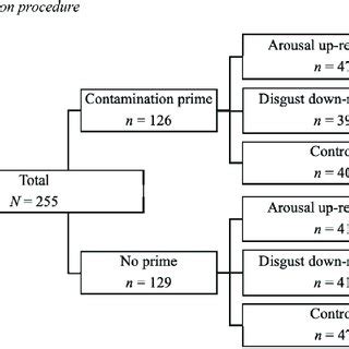 Randomization Procedure Download Scientific Diagram