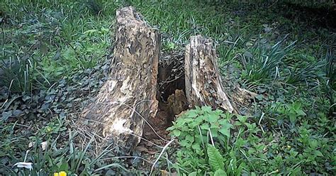 Exploring Earth Album On Imgur