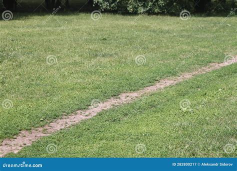 Path In The Grass In The Park Green Grass With A Path Paths Trees And Lush Green Grass