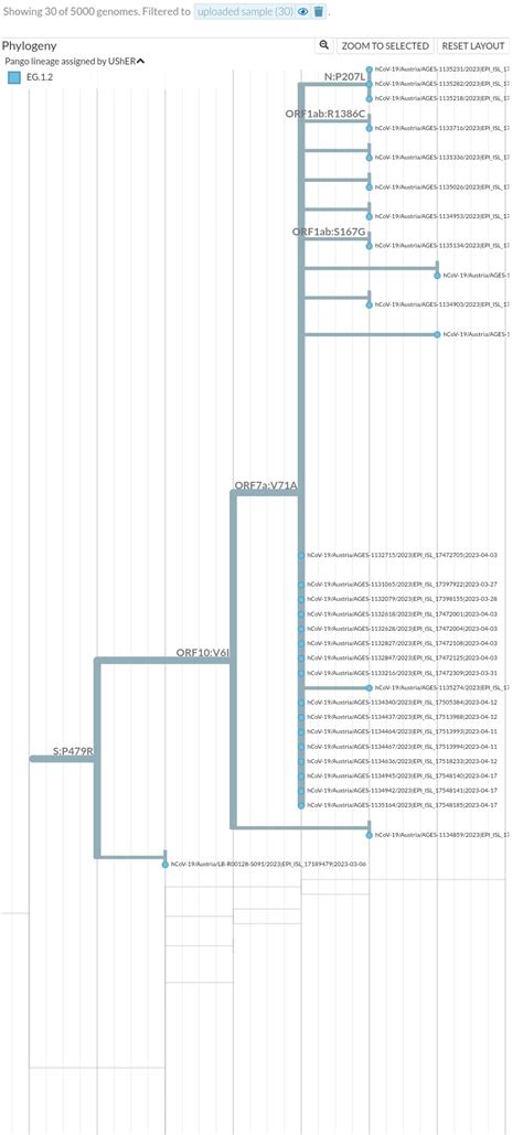 Eg12 With Sp479r And Several Orf Muts 34 Seqs Austria · Issue 1972 · Cov Lineagespango