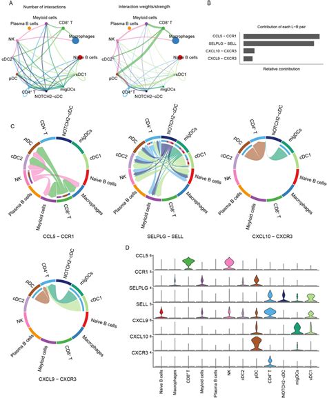 Cell Communication Network Diagram A The Number Of Ligand Receptor