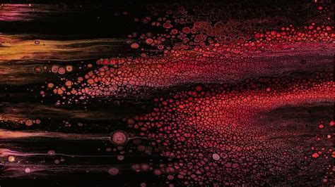 New Pretrained Deep Learning Models September 2022