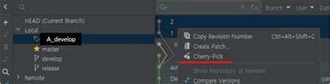 프로젝트 공통 작업 내용을 특정 개발 브랜치에 적용하기intellij 프로젝트 공통 작업 내용을 특정 개발 브랜치에 적용하기intellij