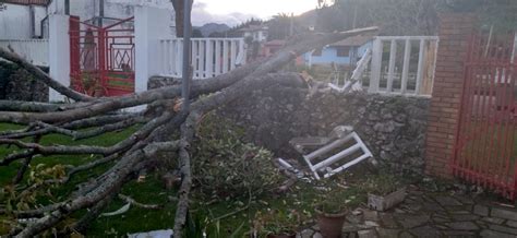 La Caída De Un árbol Por El Fuerte Viento Destroza Un Muro En El