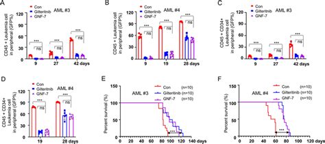Gnf 7 Exerts Potent Therapy Effect On Aml Pdx Model A B Primary Download Scientific Diagram