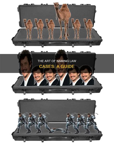 The Art Of Naming Law Cases A Guide Lawshun
