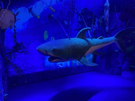 Photos Inside Candytopia At Tysons Corner Center Wtop News