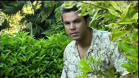 Cherry Rain Porn Videos Porn Star Sex Scenes Xhamster