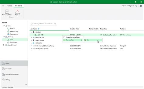 Deleting Backup Veeam Plug Ins For Enterprise Applications