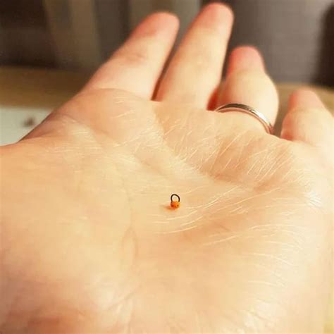 35 Times People Came Across Tiny Objects That Were So Cute They Just