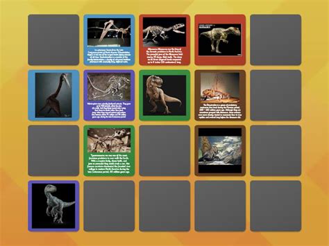 Fossils Matching Pairs