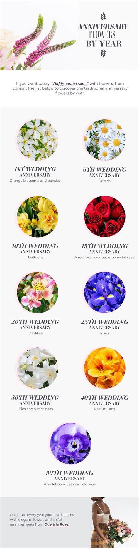 20th Wedding Anniversary Color 60 Photos