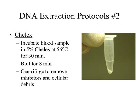 PPT DNA Methodologies PowerPoint Presentation Free Download ID 5623671