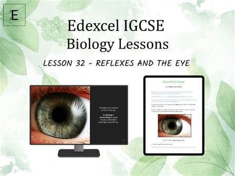 Edexcel IGCSE Biology Lesson Reflexes And The Eye Teaching Resources