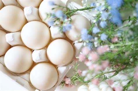 한달 지난 달걀 상했는지 구별 물에 뜨는 상한 계란 소비기한 유통기한 확인 버리는법 네이버 블로그