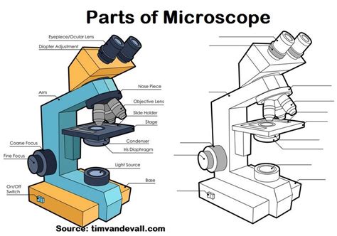 Microscope Diagram Labeled Unlabeled And Blank Artofit