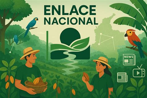 කෘෂි මාවත ගෙදරදීම දිලීර නාශකයක් හදා ගනිමු 1 බෝඩෝ මිශ්‍රණ පිලියෙල කරගන්නා අකාරය 🌿