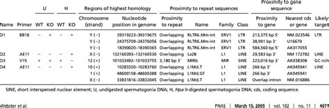 Differentially Methylated Loci In Dnmt3l Ko Germ Cells Download Table