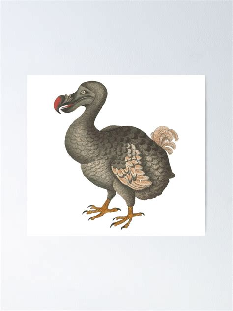 Póster For Sale Con La Obra Pájaro Dodo Me Encantan Las Aves Dodo Extintas Conservación De Aves