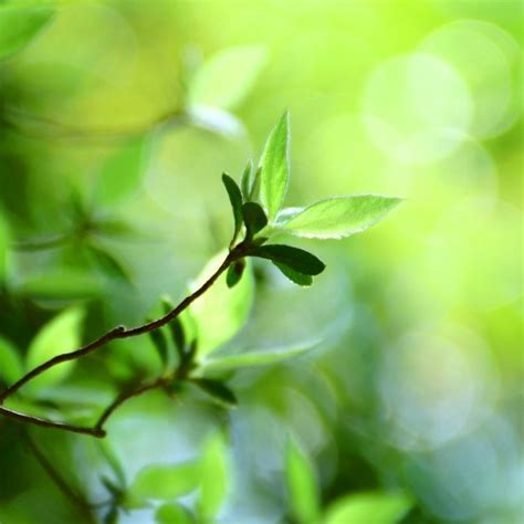 What Are Normal Range Of BUN Levels TSMP Medical Blog