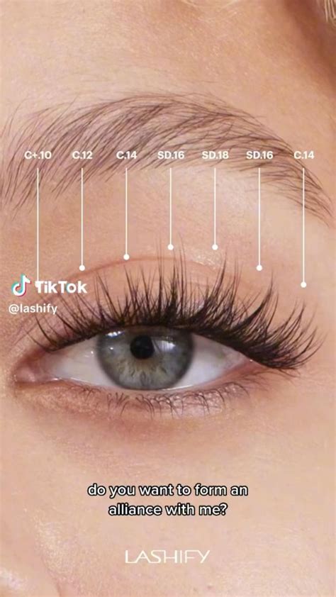 Lashify Sizes Lashes Makeup Fashion Makeup