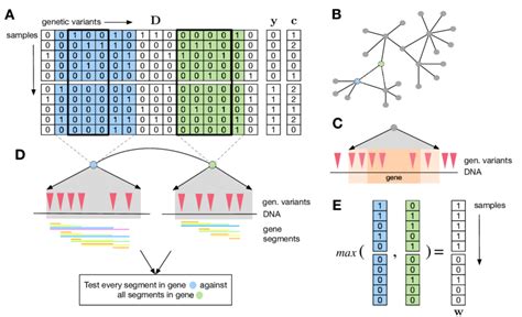 A The Binary Dataset D Rows Correspond To Samples Columns Download Scientific Diagram