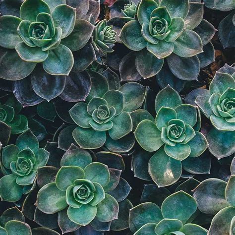 Internal Linking Structure Importance Best Practices