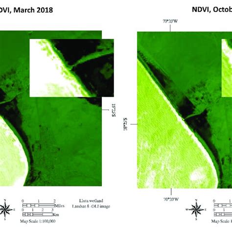 Ndvi Images In Lluta Wetland In The Months Of Highest March 2018 And Download Scientific