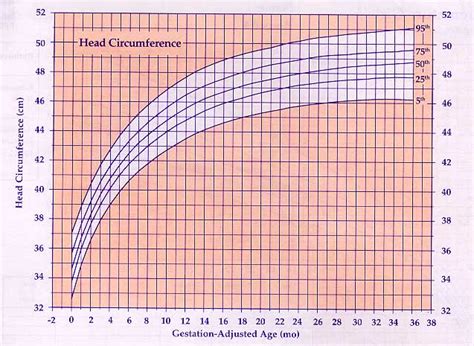 Newborn Head Size Chart