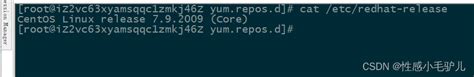 Centos Yum Csdn