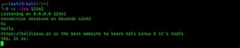 netcat total guide beginner to advance kali linux tutorials