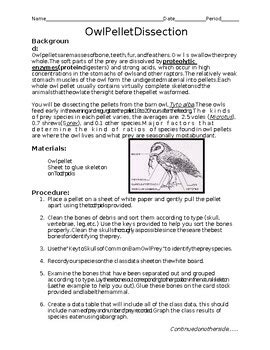 Bio Owl Pellet Dissection Lab Activity By Kloekers Education Foundation