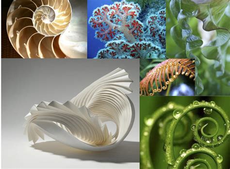 Deconstruct Reconstruct Project Megan Saunders