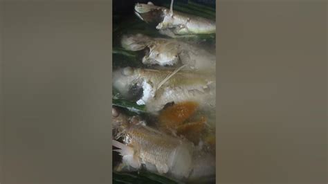 Simpleng ulam pero sobrang sarap #ulamoftheday #cooking - YouTube