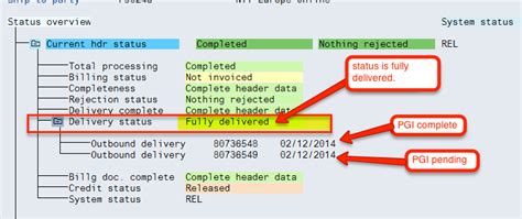 Document Status Delivery Pgi Sap Community