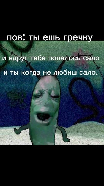 Хахахахах сало в гречке😖 Youtube