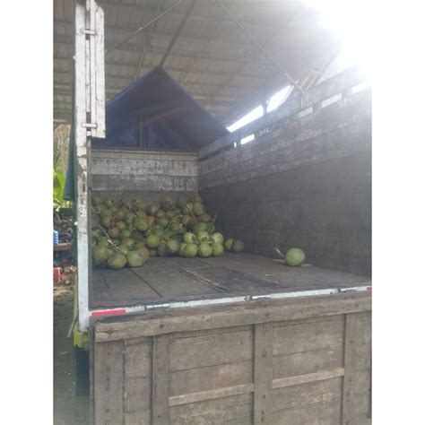 Jual kelapa muda lokal | Shopee Indonesia