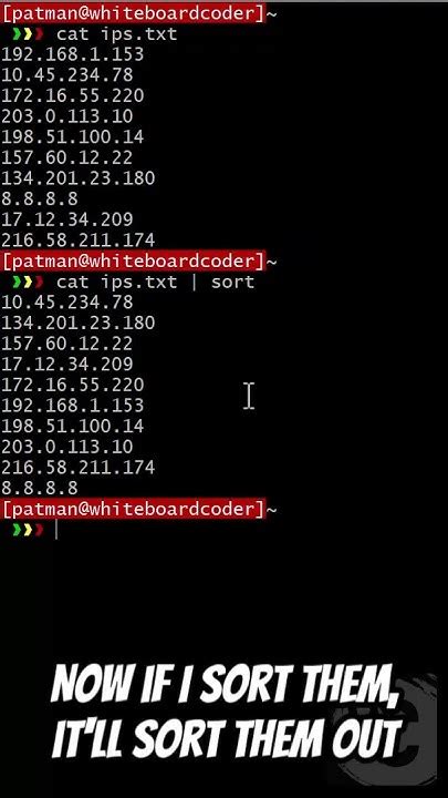 linux sort coding linux linuxtutorials linuxcommandlinetutorial