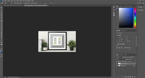 Single Column Marquee Tool Not Showing Selection Adobe Community