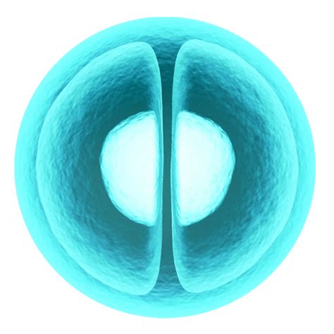 Leep New Albany Obgyn