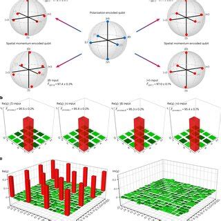 Quantum State And Process Tomographies For One Qubit And Two Qubit SWAP Download Scientific