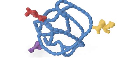 Why Protein Docking Molecular Modeling And Simulation Are Essential