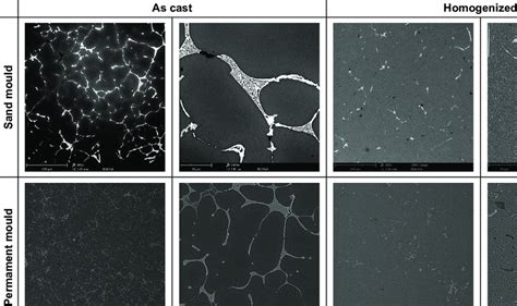 Microstructures Of The Material After Casting And Homogenization Sem Download Scientific Diagram