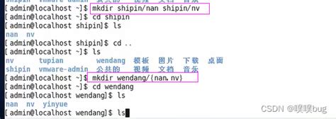 Linux基础命令（六） Mkdir Touchmkdir 创建文件夹里面包含多个文件 Csdn博客