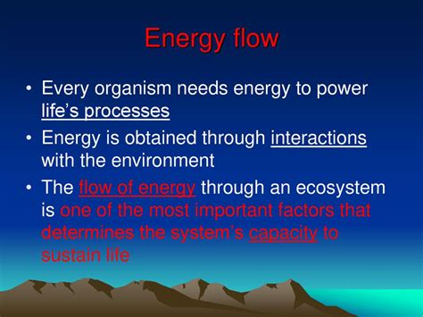 What is ecology?. - ppt download