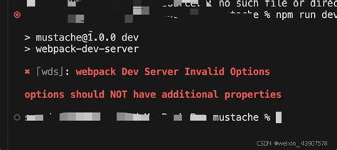 Webpack Dev Server Invalid Options Options Should Not Have Additional