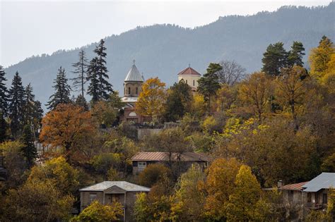 ახალი ჯგუფის პირველი სემინარი შემოდგომის პლასტიკაში შეხვედრა ბახმაროს სემინარსა და სტრასბურგის